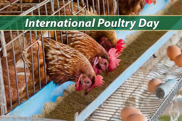 Welcome to Icechuks Blog : Come let’s celebrate this year’s ...