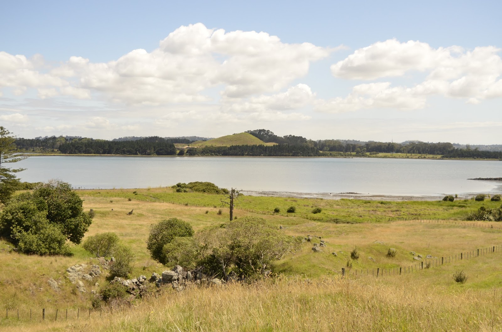 Aotearoarocks - Geology - Archaeology - History - Ecology: Part 2 of ...