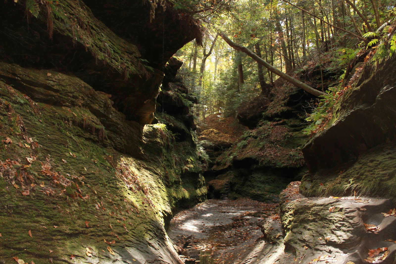 Janie Fox talks: What I Know For Sure About Camping With the CoopKeeper