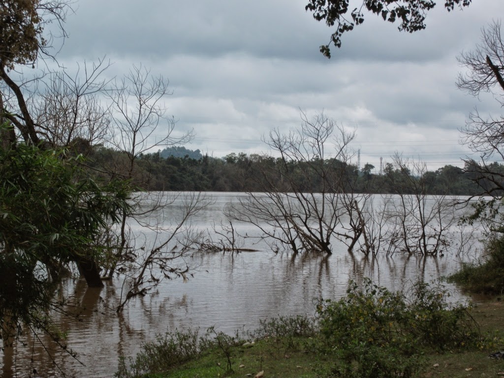 Manoj Saldana: Mandagadde Bird Sanctuary, Shivamogga