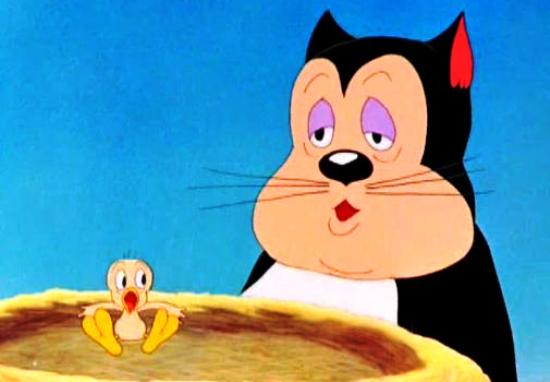 GalleryCartoon: Babbit and Catstello Cartoon Pictures