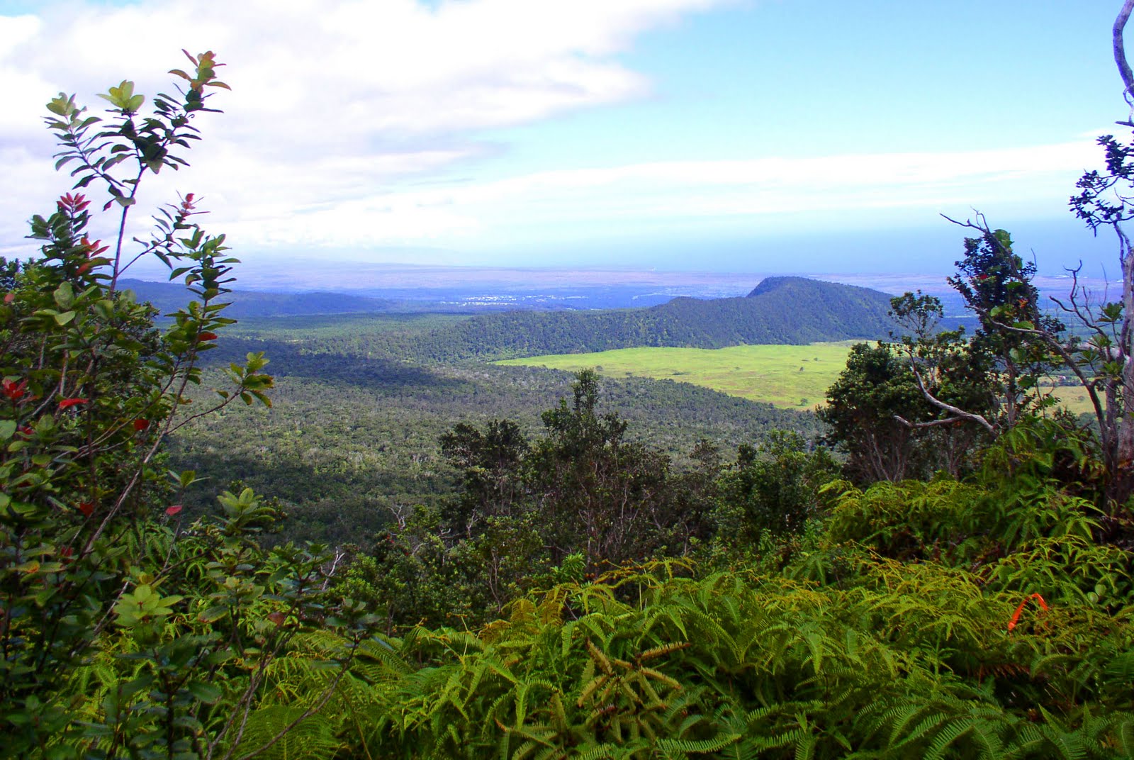 The Kaʻū Calendar News Briefs, Hawaiʻi Island: Ka`u News Briefs April ...