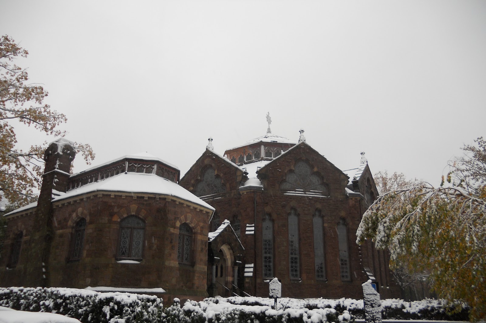 Nature Photography: First Snow at Princeton