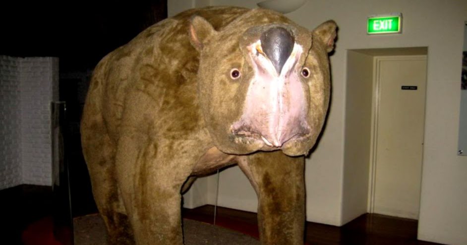 Cute Extinct Animals | Amazing Wallpapers