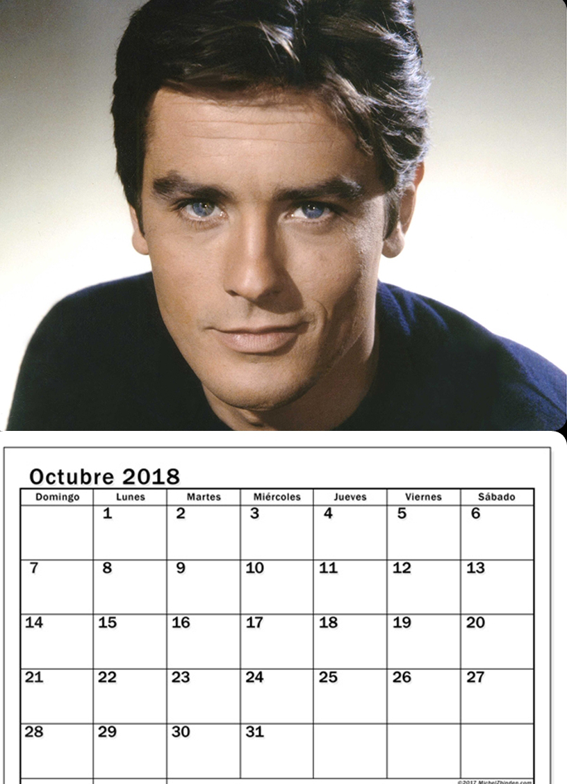 ALAIN DELON: CALENDARIO ALAIN DELON 2018 MES X MES Y GLOBAL.