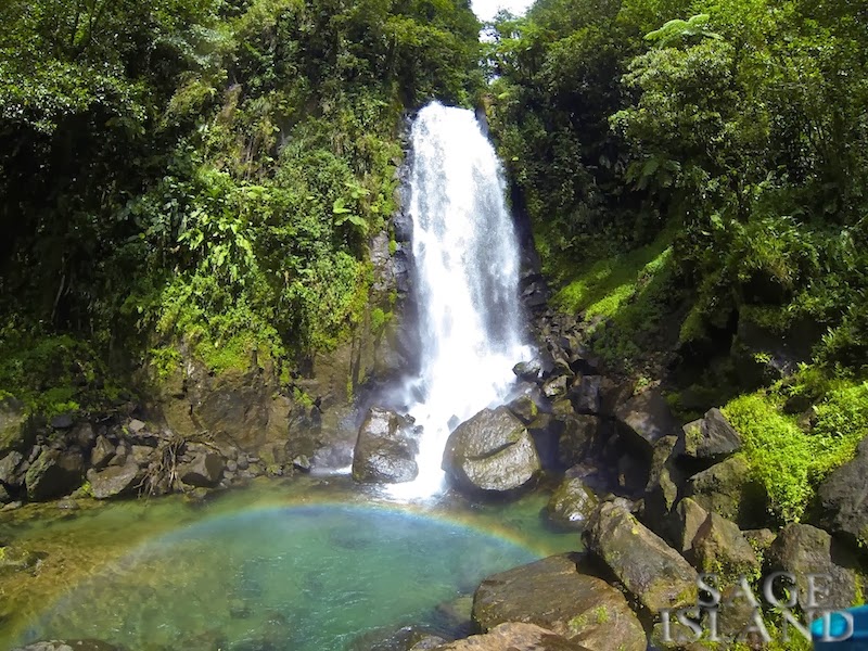 Sage Island: Dominica: Trafalgar Falls