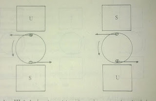 membalik arah putaran motor DC