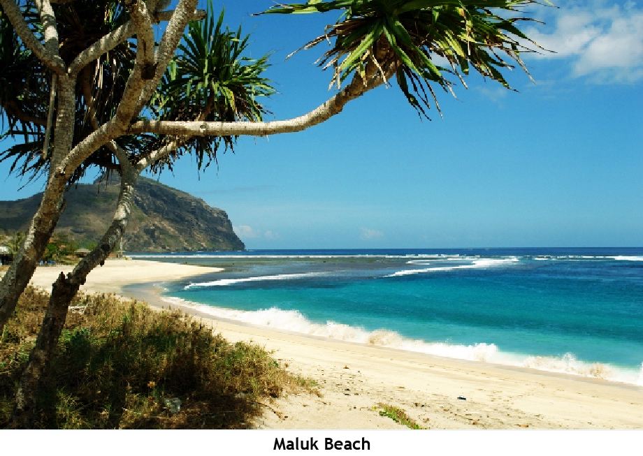 The Beauty Landscape of Indonesia: The Great 20 Beautiful Scenary from ...