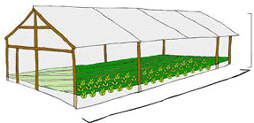Vivero Evergreen: Buenas Practicas forestales en el Vivero de la ...