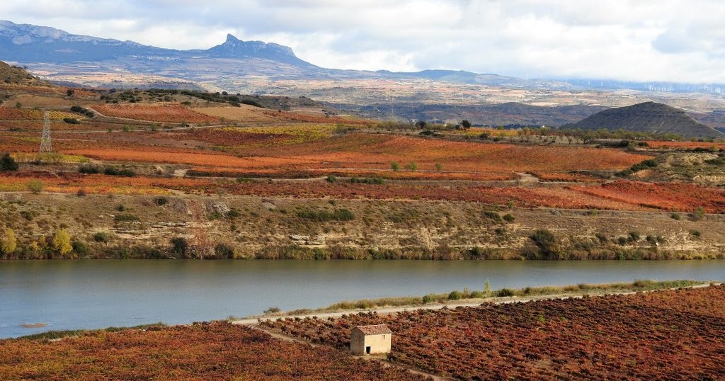 La Rioja de la A a la Z: OTOÑO EN EL VALLE DEL EBRO - La Rioja