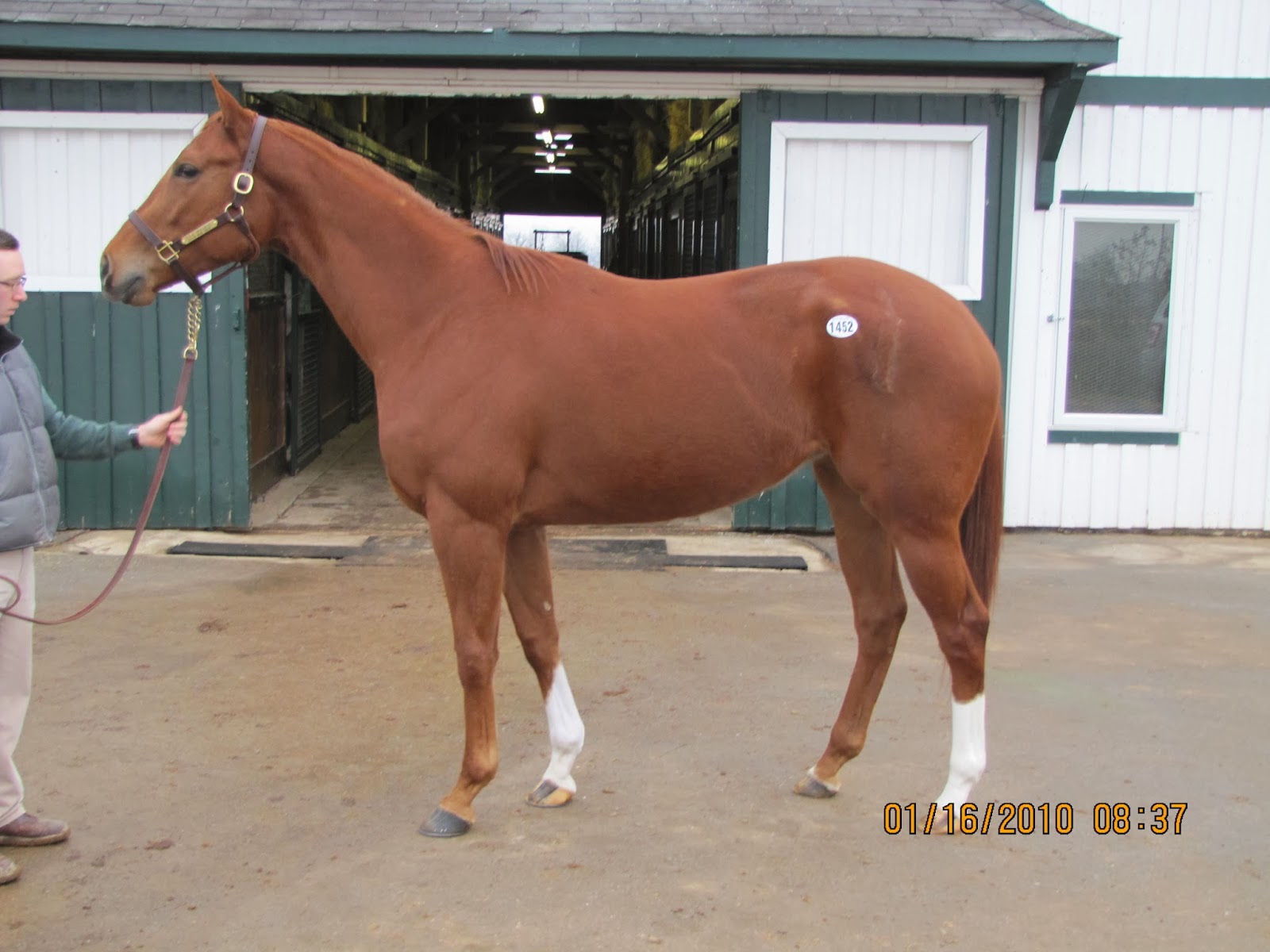 O NINHO DO ALBATROZ: 7 de mar. de 2014