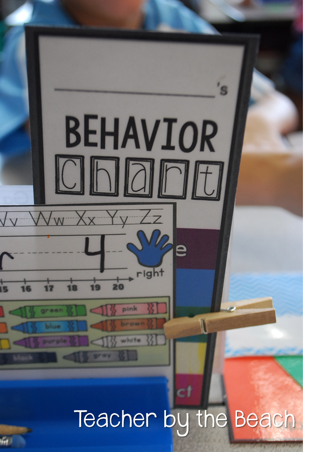 New Behavior System - Teacher by the Beach