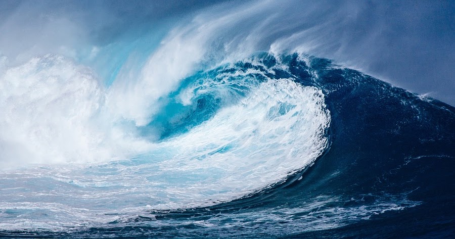 No Dogs, Please!: Poonami – Dog Poop Tsunami From the Skies