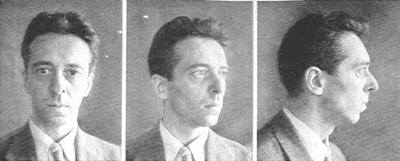 Italianthro: Convex and Concave Noses