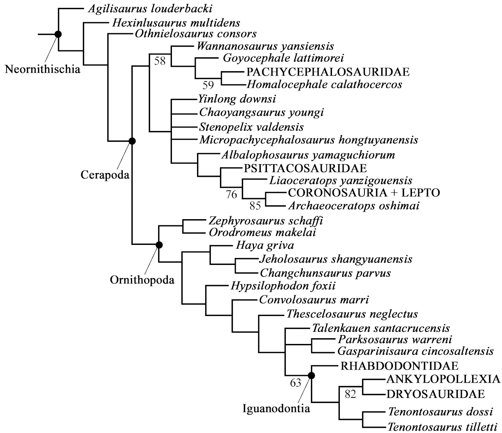 Species New to Science: [Paleontology • 2019] Convolosaurus marri • A ...