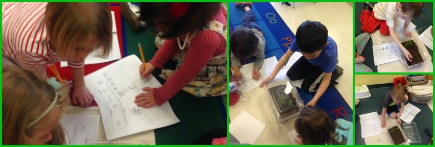 Discovering in the Rain