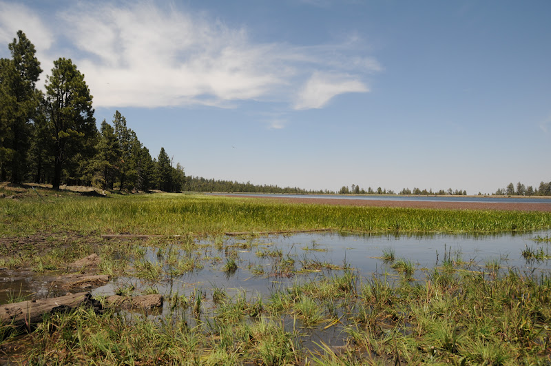 Arizona Hiking: 6/3/12 - 6/10/12