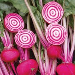 Gibby's Garden: List of Beet Varieties and Types