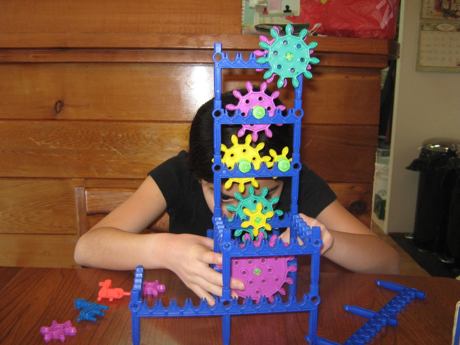 True North: Our Canadian Homeschool: Simple Machines