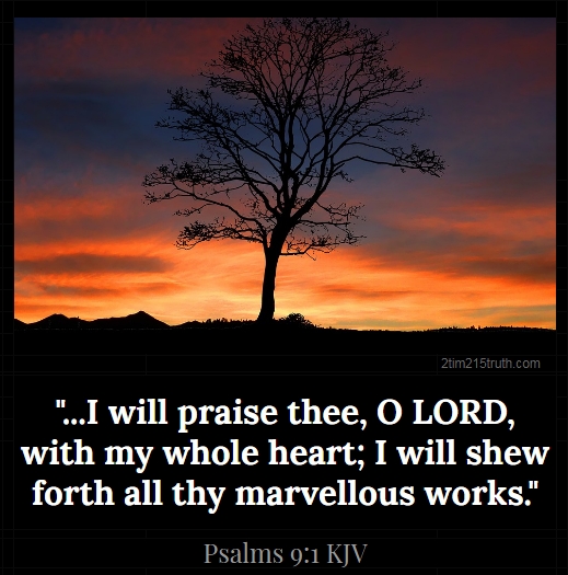 2 Timothy 2:15 Truth: Verse of the Day: Psalms 9:1 KJV