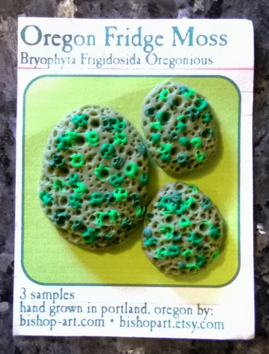 Moss Plants and More: My New Magnets