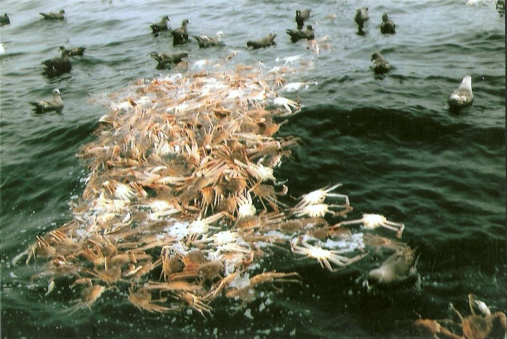 Tholepin: Celebrate Trawling; The Economic Engine That Everyone Pays For