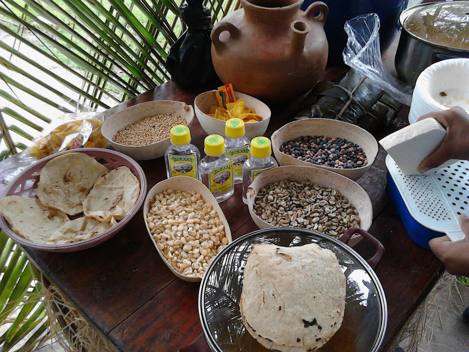 Alubaren francisco morazan: comidas tipicas