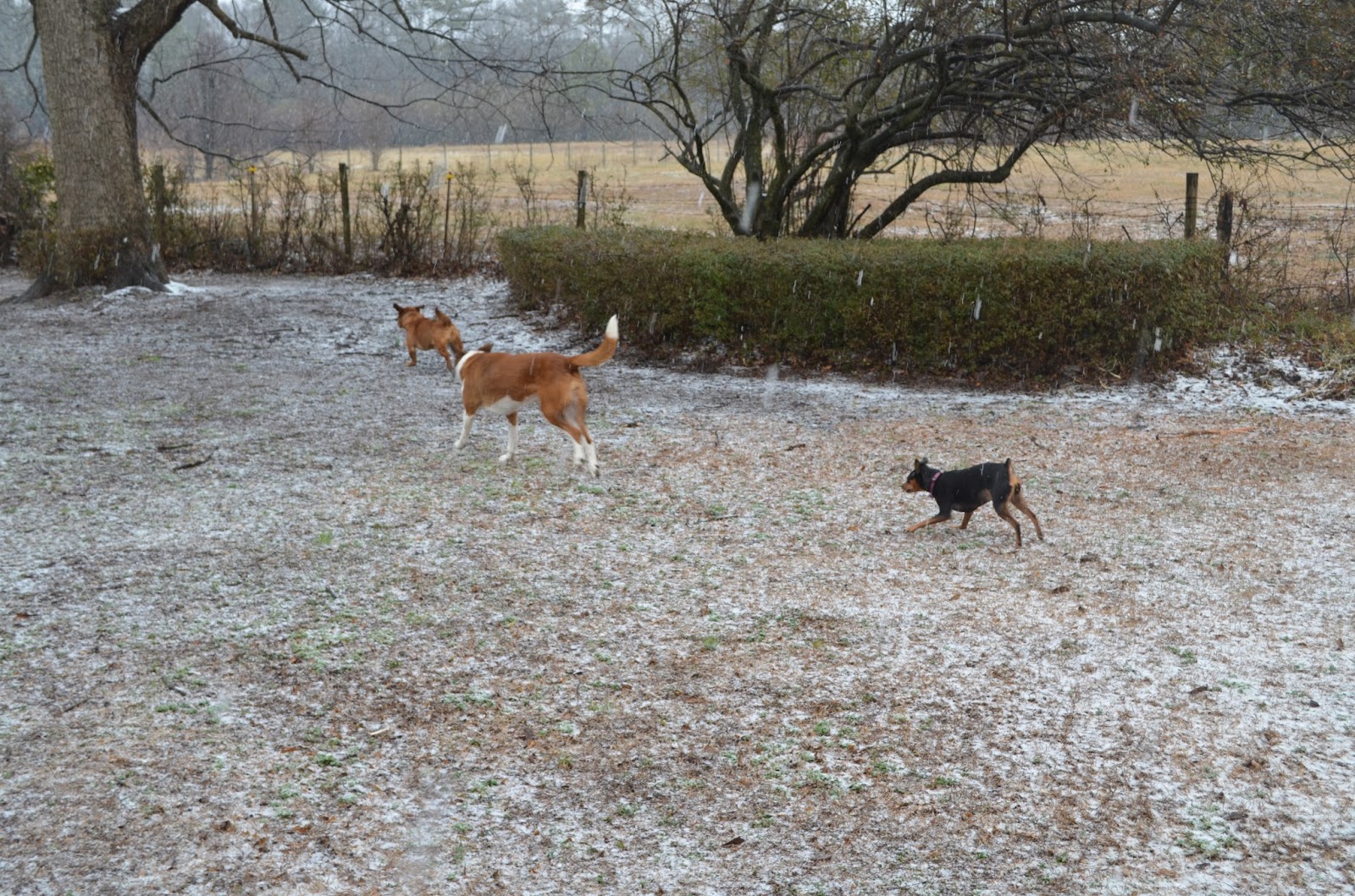 Baseball-Diamonds & Hairspray: Snowpocalypse Feb 2014