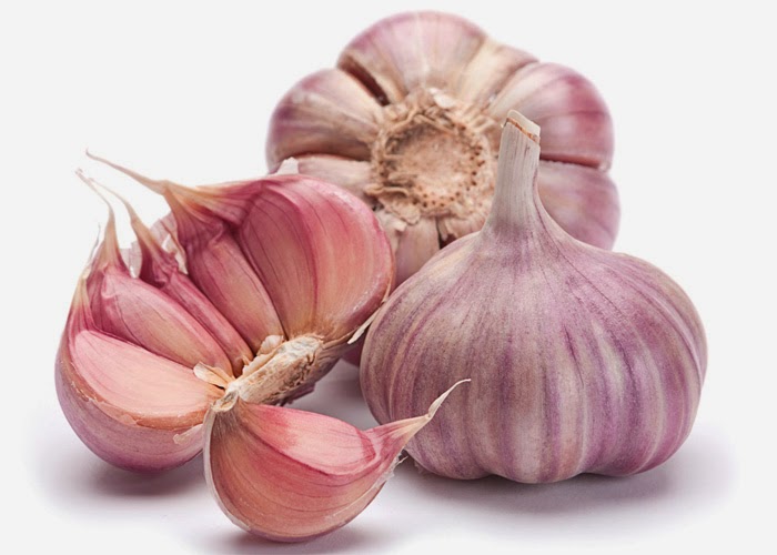 Hortalizas de Bulbo. ~ Guía para plantar