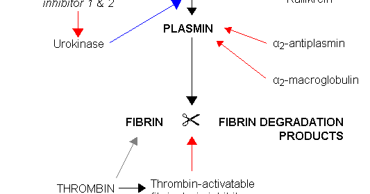 Xét nghiệm Y học: Định lượng sản phẩm thoái hóa Fibrinogen và Fibrin (FDP)
