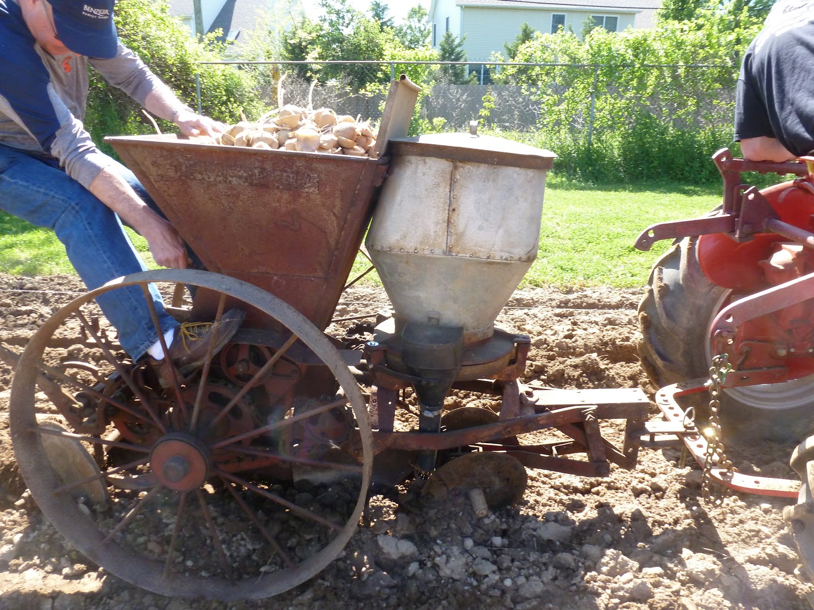 Jarvis House: Potato Planting at the GCHA Gardiner Farm 2012