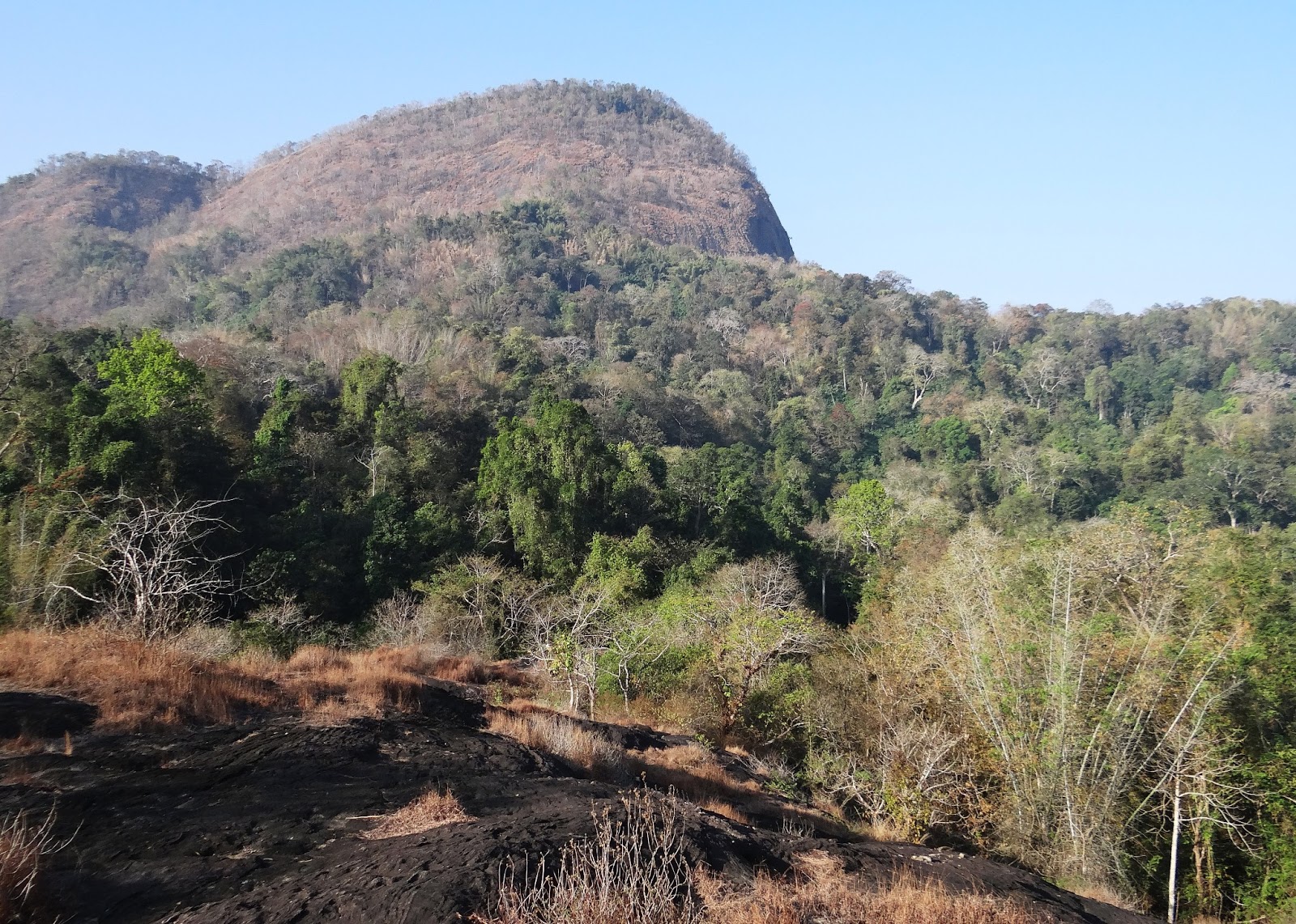 sunshinecoastbirds: India - Culture, Scenery, People