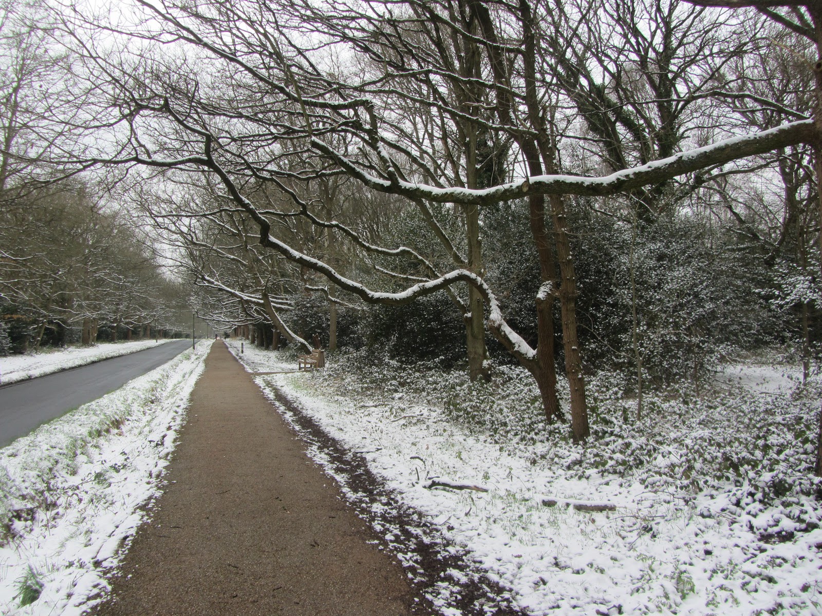 Ham Photos: Snow around Ham Common Woods