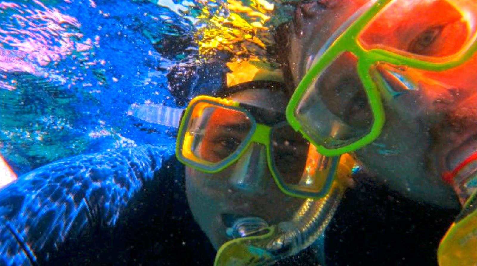 The Earth Minute: Australia Great Barrier Reef Swim