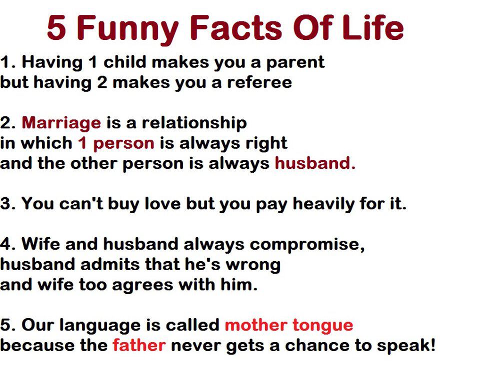 Sarcastic Quotes On Life Facts sarcastic-quotes-on-life-facts