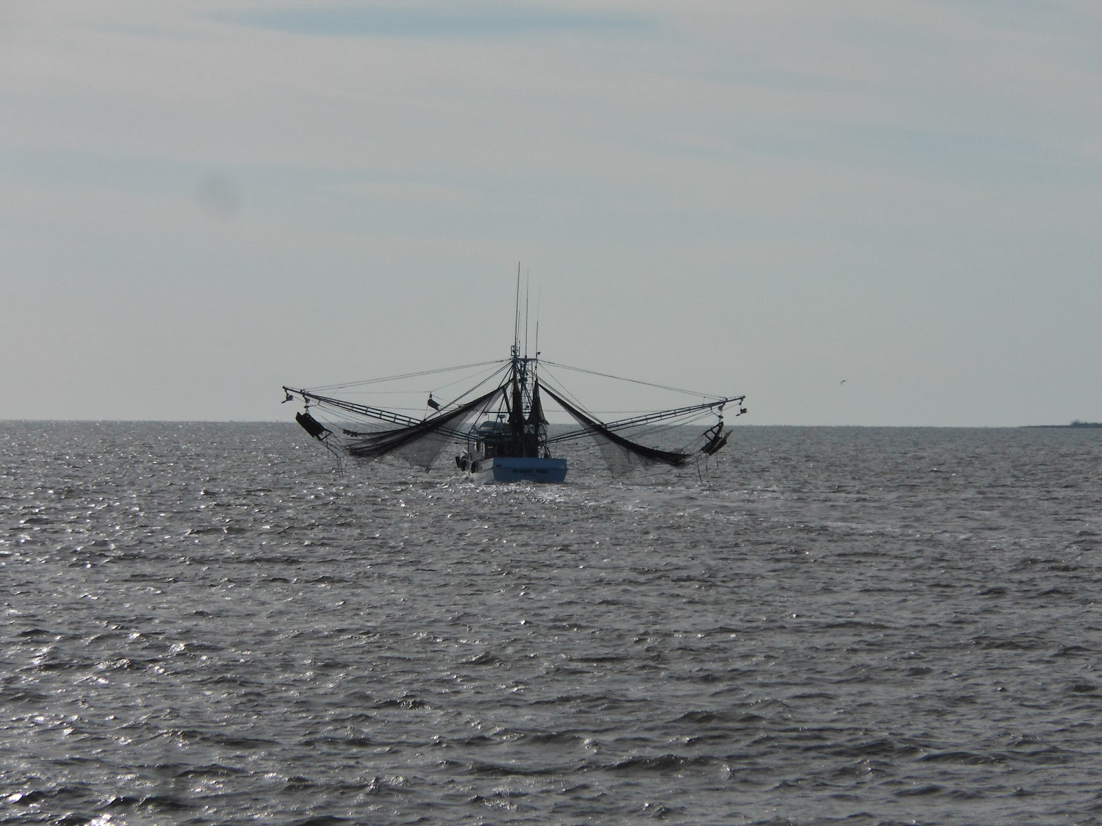 Julie and Randy: Ferry ride to Sapelo Island