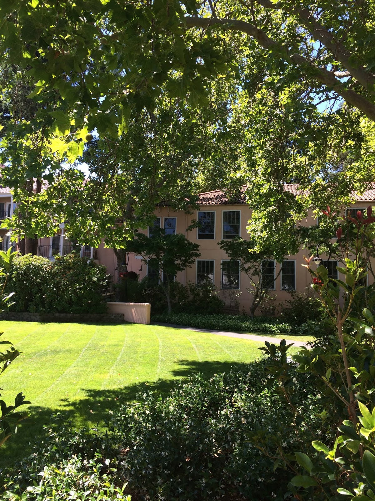 The Larson Lingo: Our Weekend in Sonoma