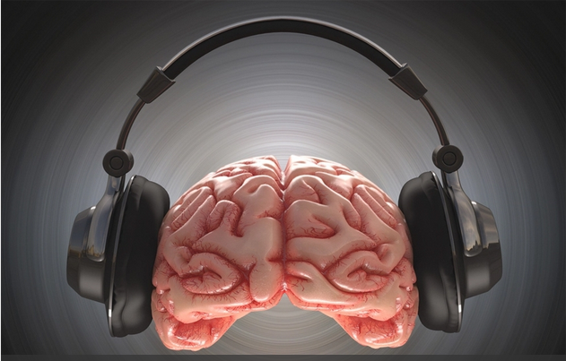 La exposición a ruidos fuertes afecta no sólo físicamente sino que ...