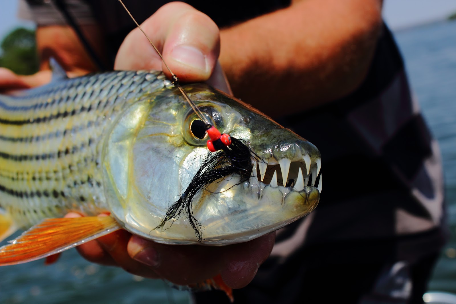 DEESOX: October 2012