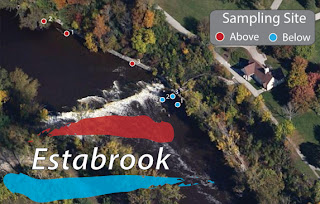 The Ecological Effects of Damming: Estabrook