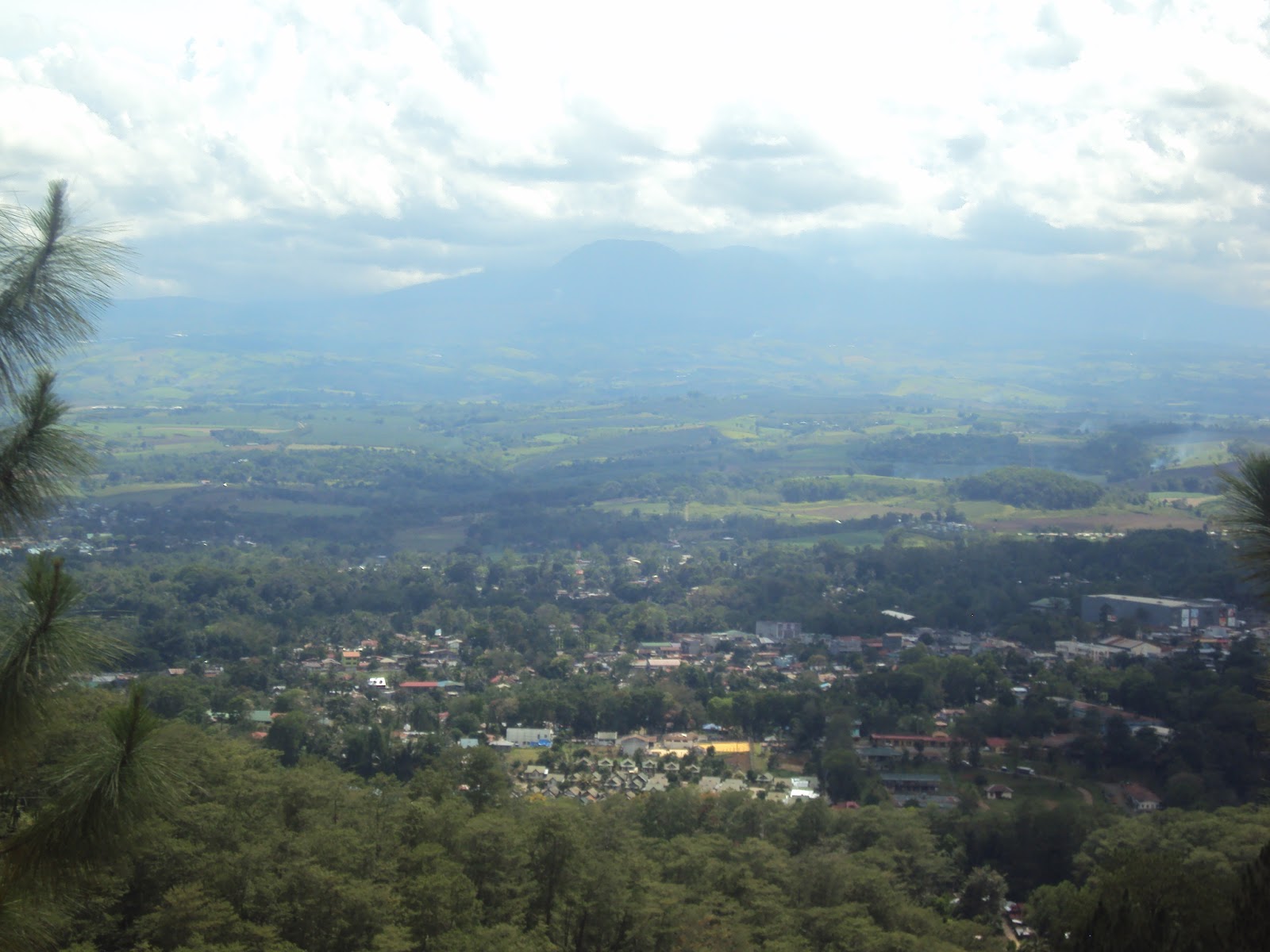 EXPLORE MALAYBALAY CITY: The View from the Famous Two Trees