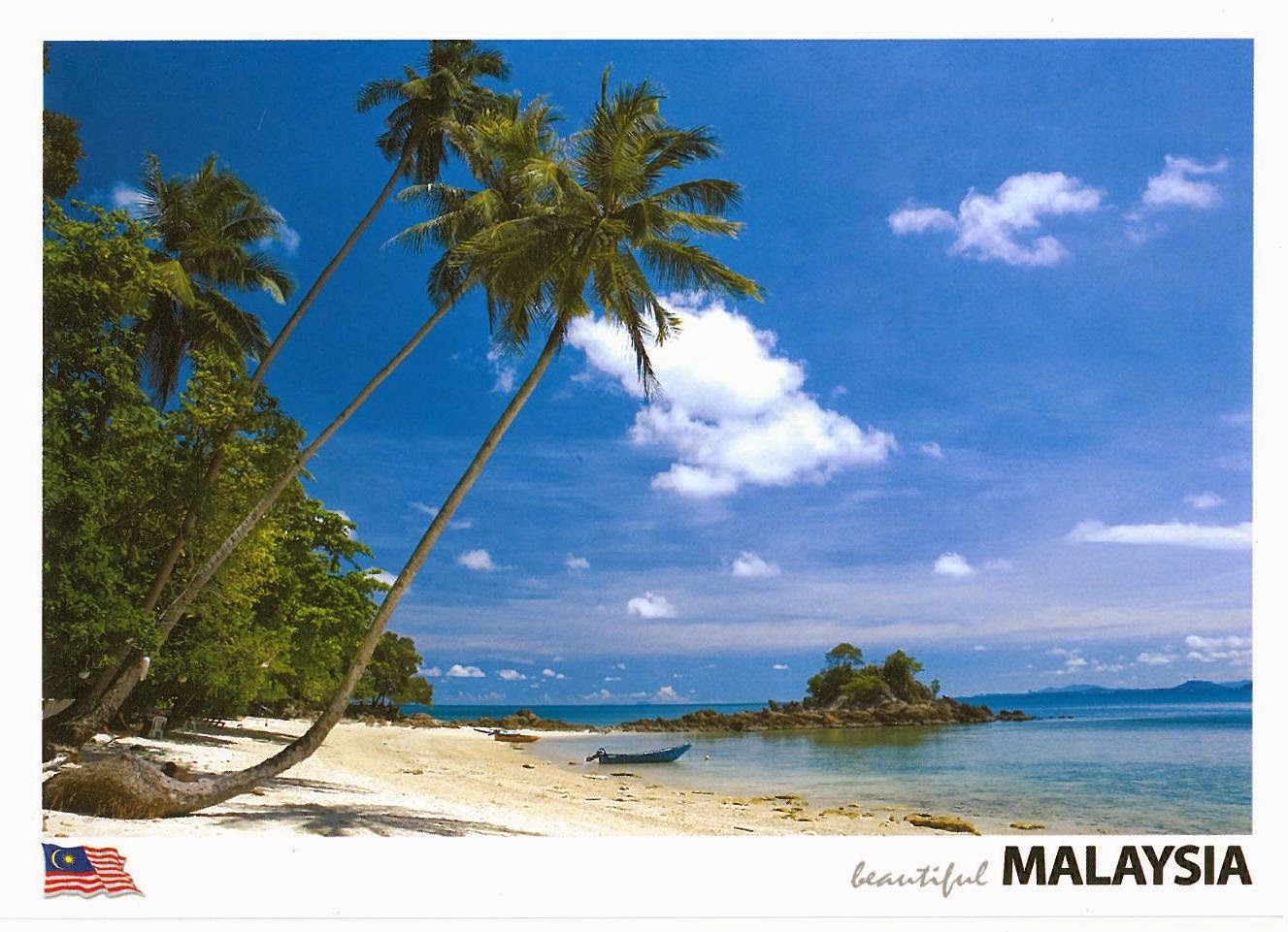 My Postcards Wonderland: MY-Postcards (Shashin)