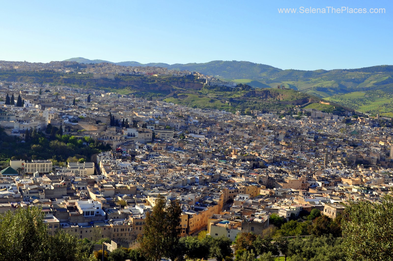Oh, the places we will go!: Fès, Morocco