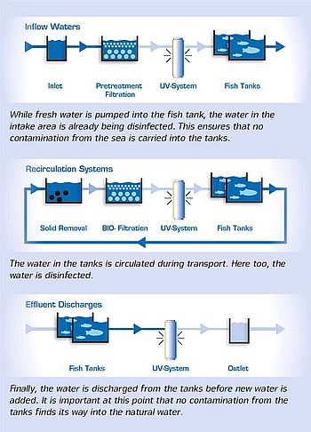 StrainerFiltervalve: Maritime Filtration - Wellboats