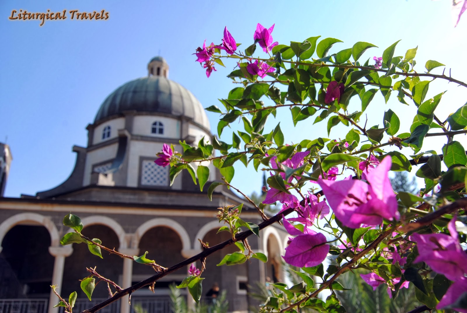 Liturgical Travels: Holy Mass on the Mount of Beatitudes