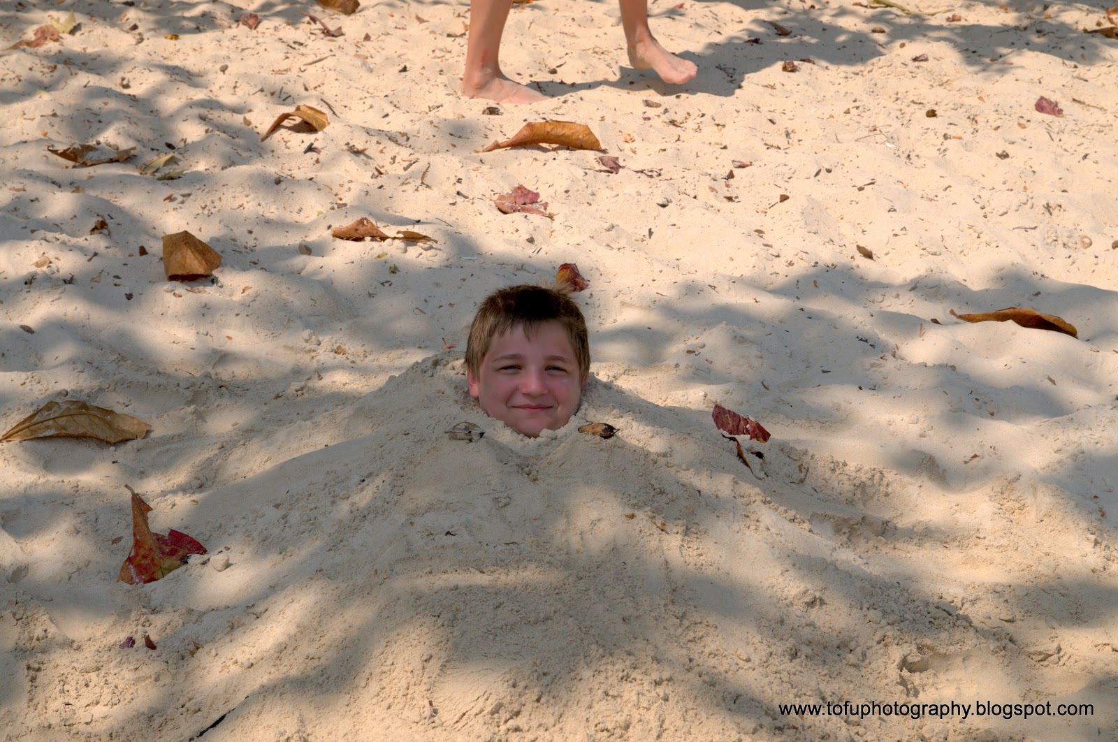 Tofu Photography: Buried in the sand
