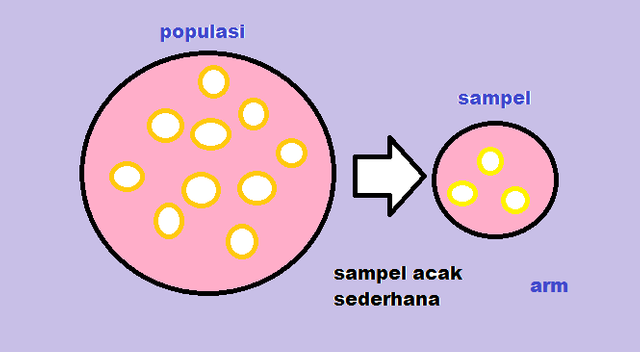 Jenis - Jenis Pengambilan Sampel pada Penelitian ~ Belajar Apa Saja ... Jenis - Jenis Pengambilan Sampel pada Penelitian ~ Belajar Apa Saja ...
