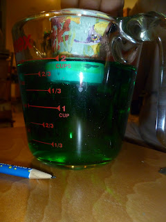 APOLOGIA SWIMMING CREATURES SCIENCE EXPERIMENTS - Mama to 6 Blessings