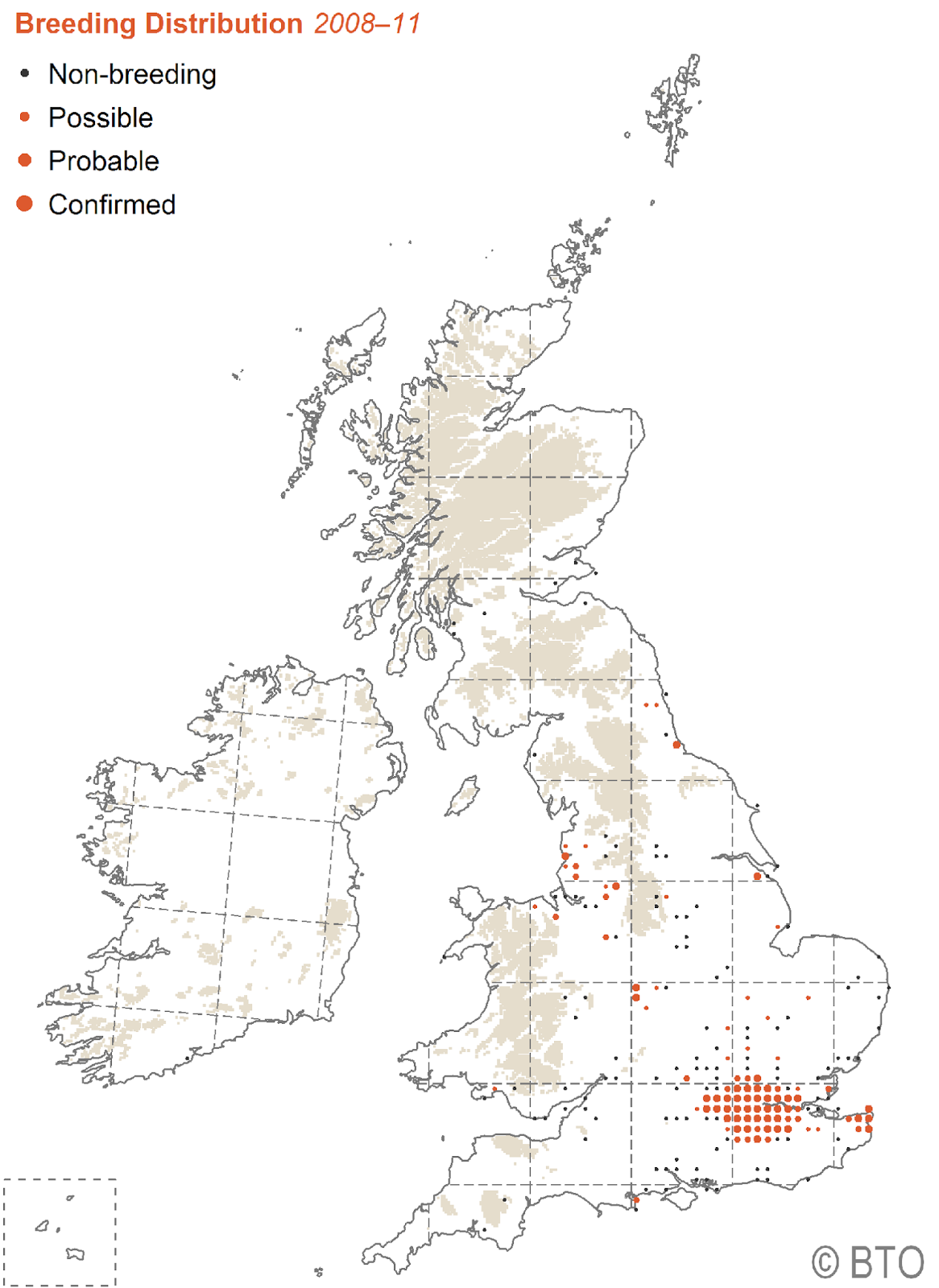 TrogTrogBlog: Bird of the week - Ring-necked parakeet