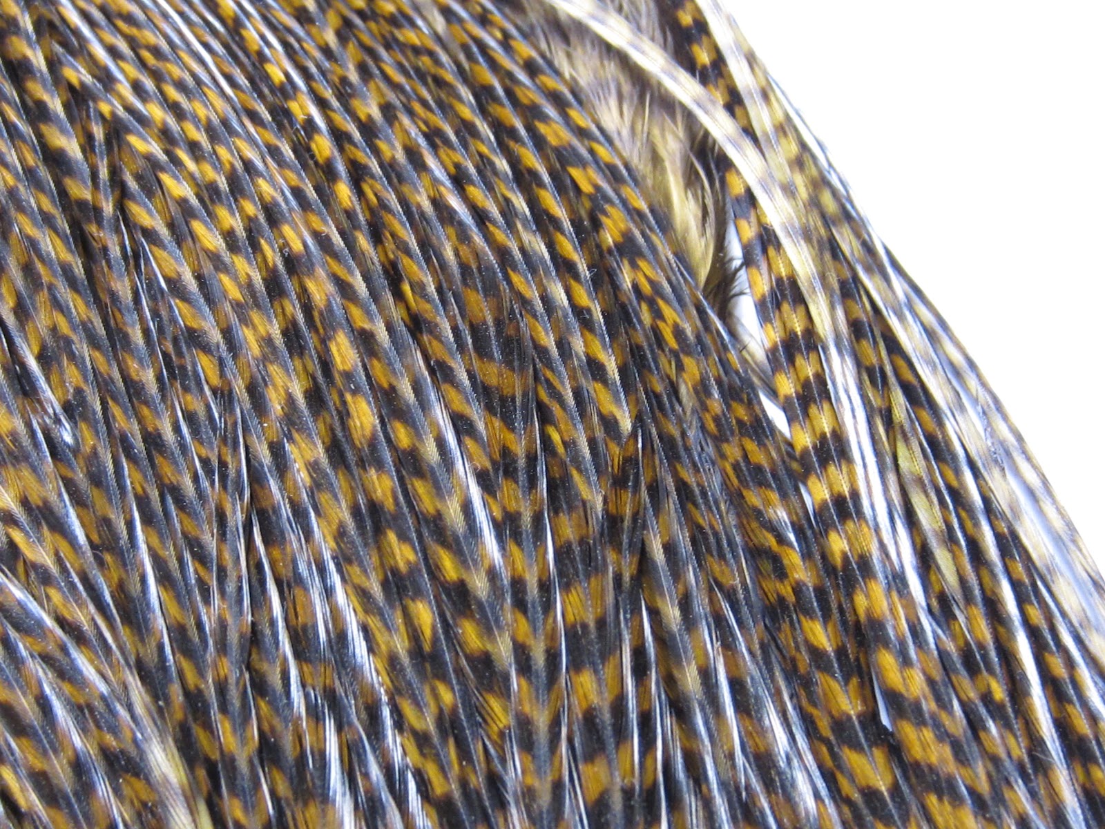 Fly Tying Videos: How to Tie Flies for Freshwater and Saltwater: How to ...